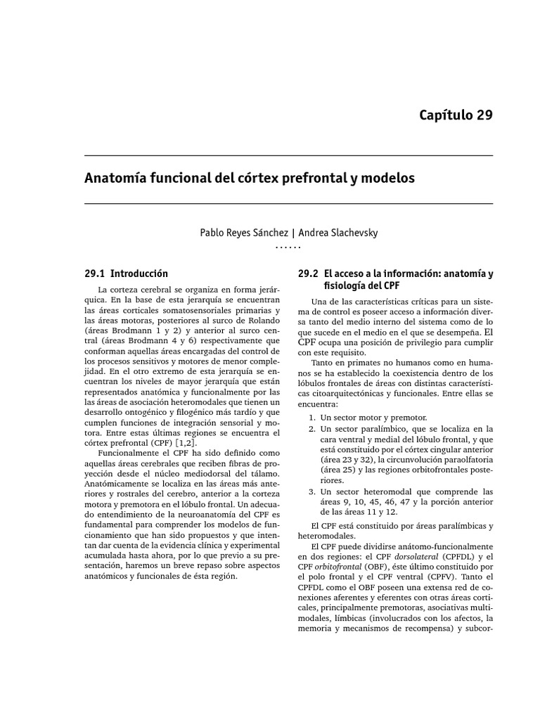 Funciones Ejecutivas 1 - Tratado NPS | PDF | Memoria | Memoria de trabajo