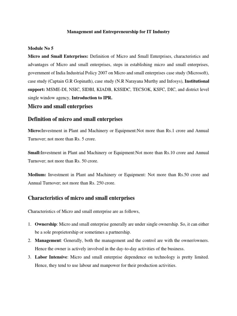 MEI Mod5 | PDF | Small And Medium Sized Enterprises | Entrepreneurship