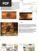 Comprehensive Star Wars Species List | PDF | Zoology