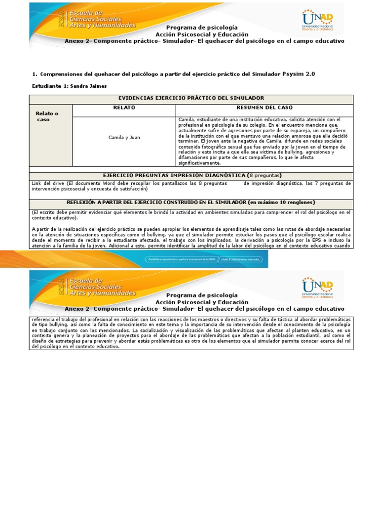 Evidencias Simulador Caso Camila y Juan | PDF | Sicología | Ciencia cognitiva