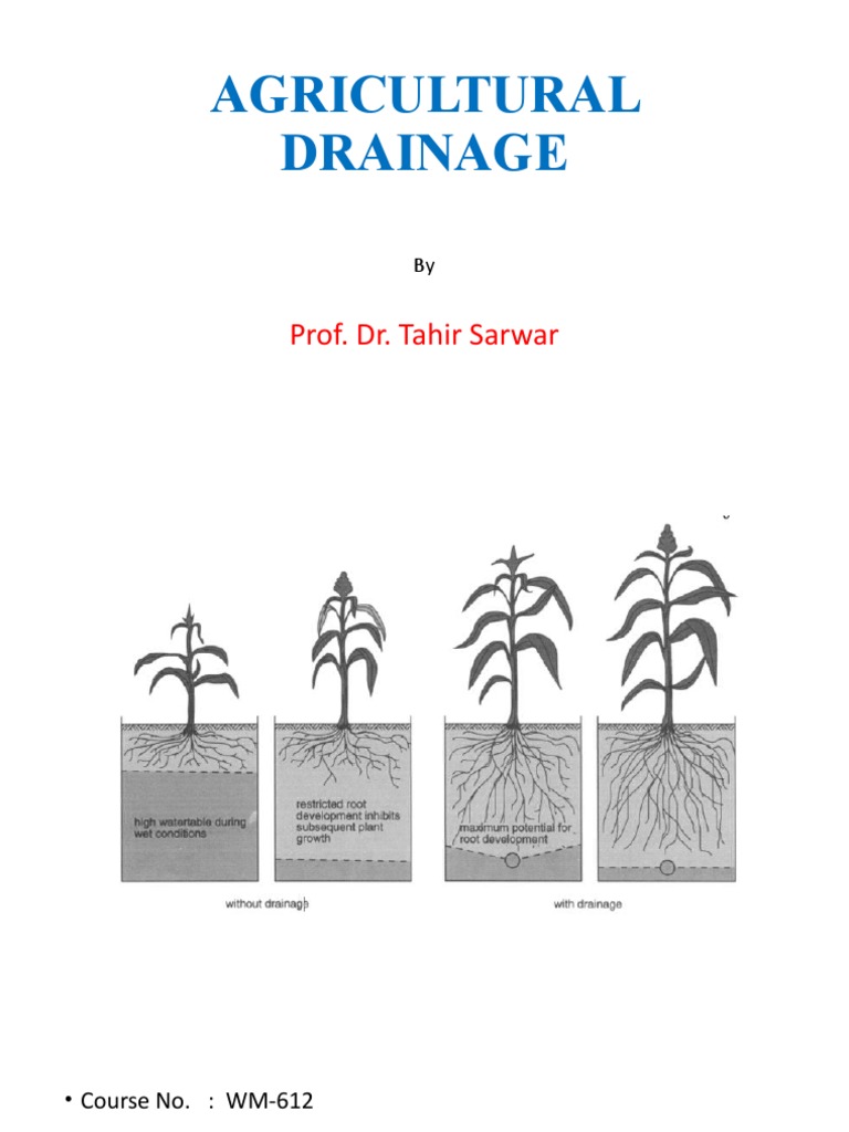 Chapter 1 2023 | PDF | Wetland | Drainage