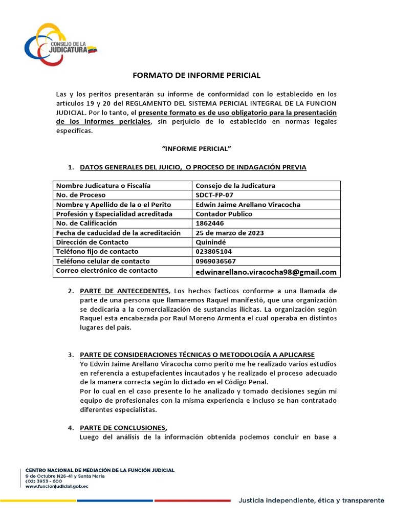 Informe Pericial | PDF | Experto | Justicia