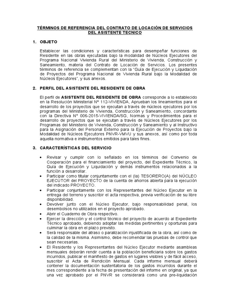 Ejemplo de TDR | PDF