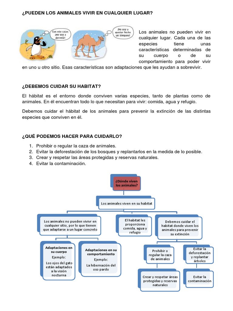 Donde Viven Los Animales y Su Habitat | PDF | Habitat | Extinción