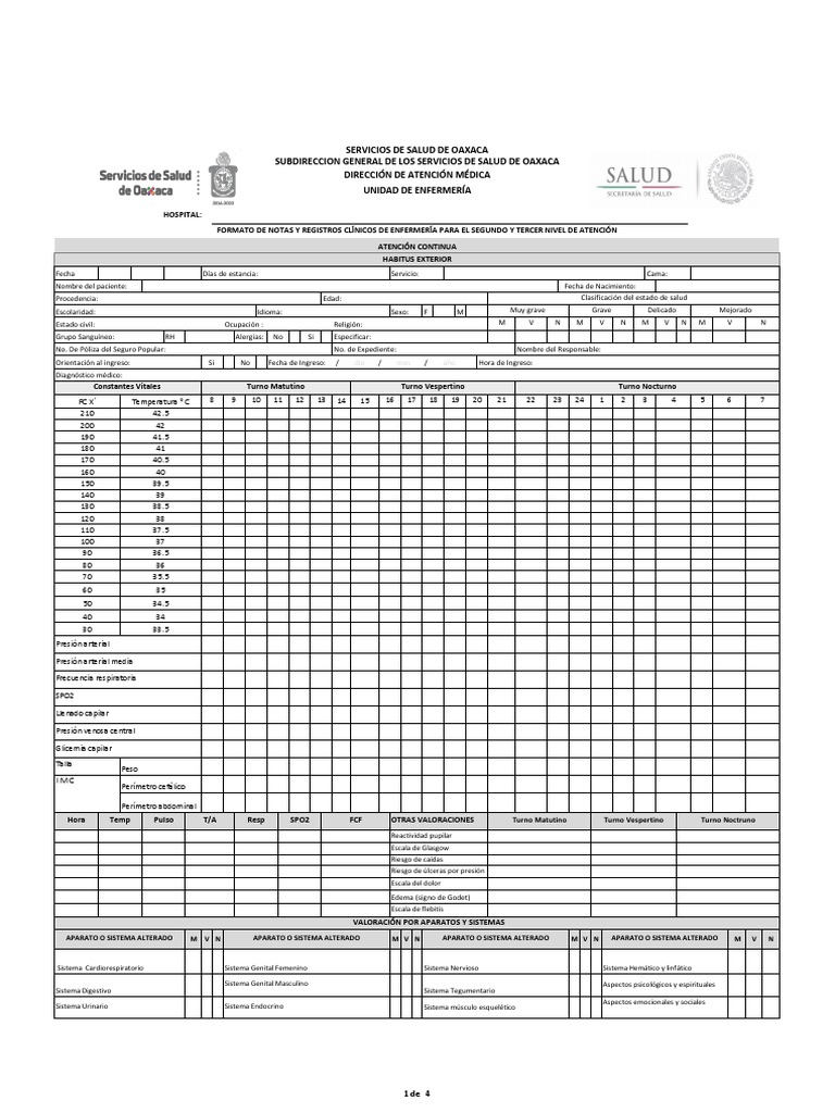 Formatos de notas y registros clínicos de enfermería | PDF ...