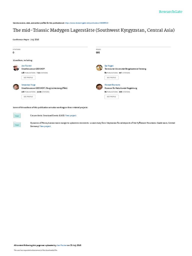 The Mid-Triassic Madygen Lagerstätte (Southwest Kyrgyzstan, Central ...