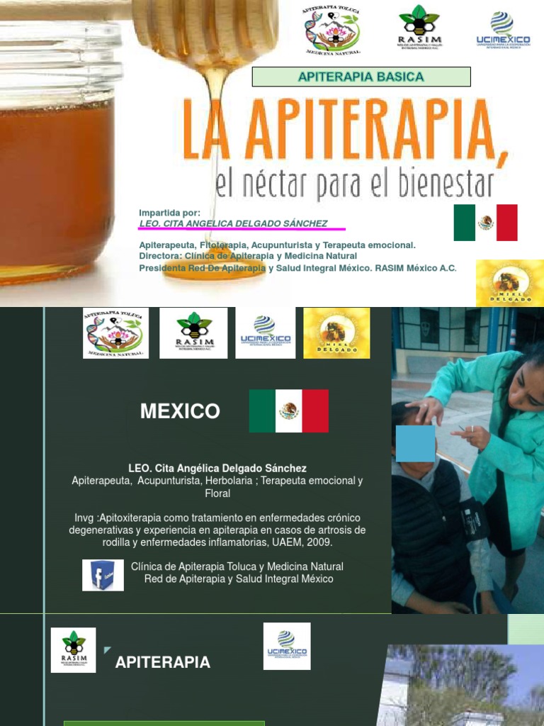 Apiterapia Basica | PDF | Medicina alternativa | Bilis