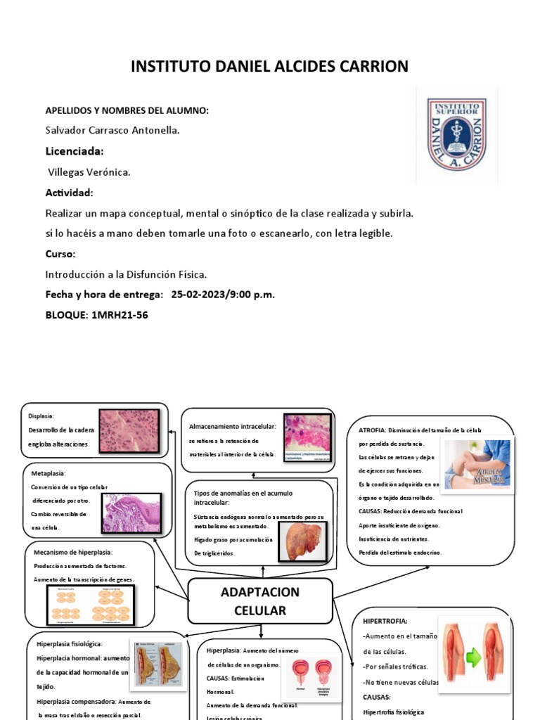 Instituto Daniel Alcides Carrion Organizador Visual | PDF | Atrofia ...