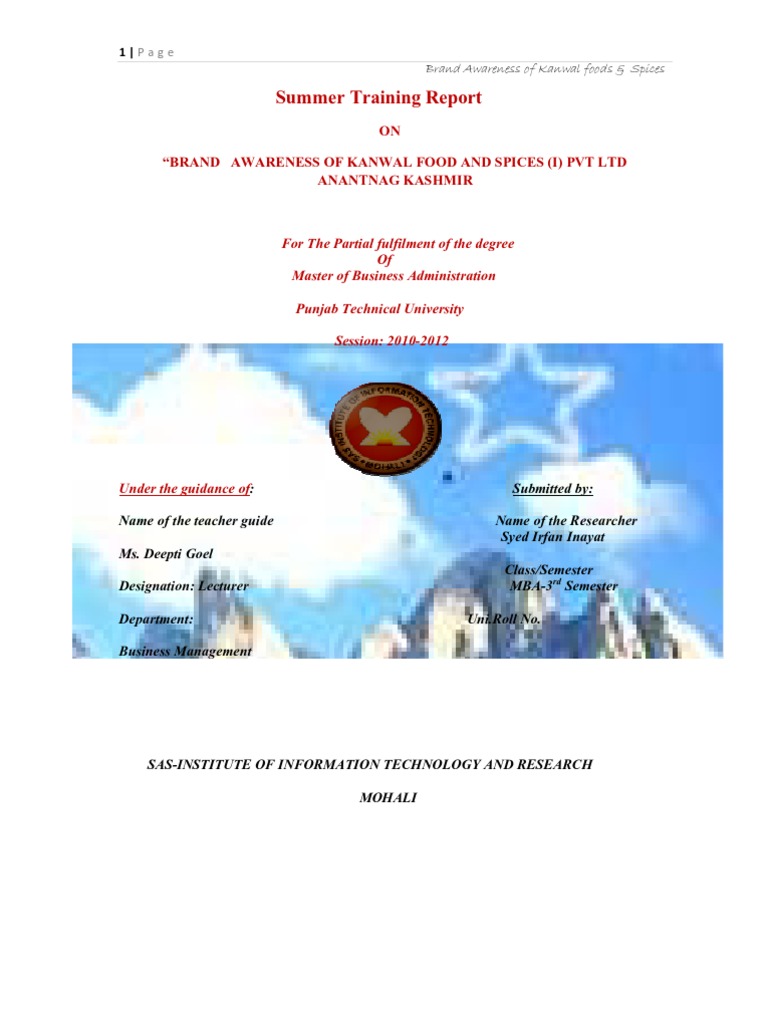 Summer Training Report | PDF | Marketing Research | Brand