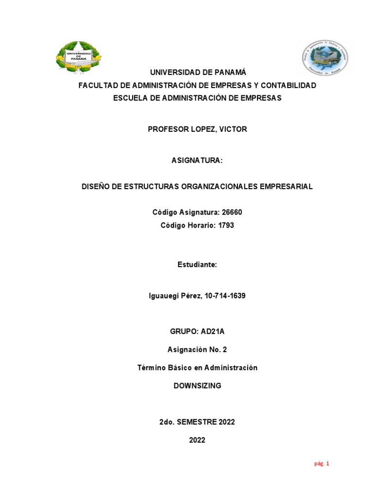 Estrategias de Downsizing Empresarial | PDF | Mercado (economía) | Outsourcing