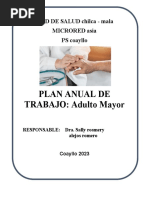 Plan Anual Refcon | PDF
