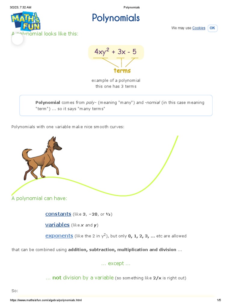 Polynomials Pdf Polynomial Mathematical Analysis 