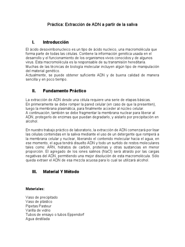 Practica Extracción-de-ADN | PDF