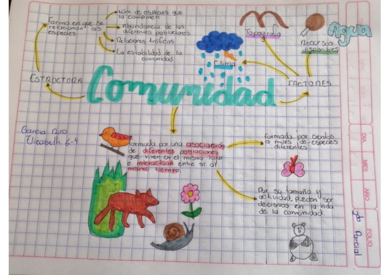 Comunidad Mapa Mental | PDF