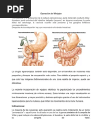 Entero Enteroanastomosis | PDF | Tracto gastrointestinal | Intestino grueso