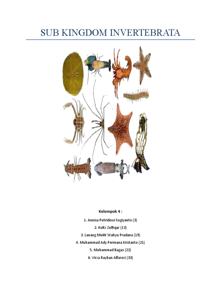 Klasifikasi Sub Kingdom Invertebrata | PDF | Sains & Matematika