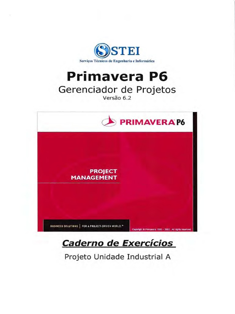 Primavera P6 - Exercicios | PDF | Engenharia | Business