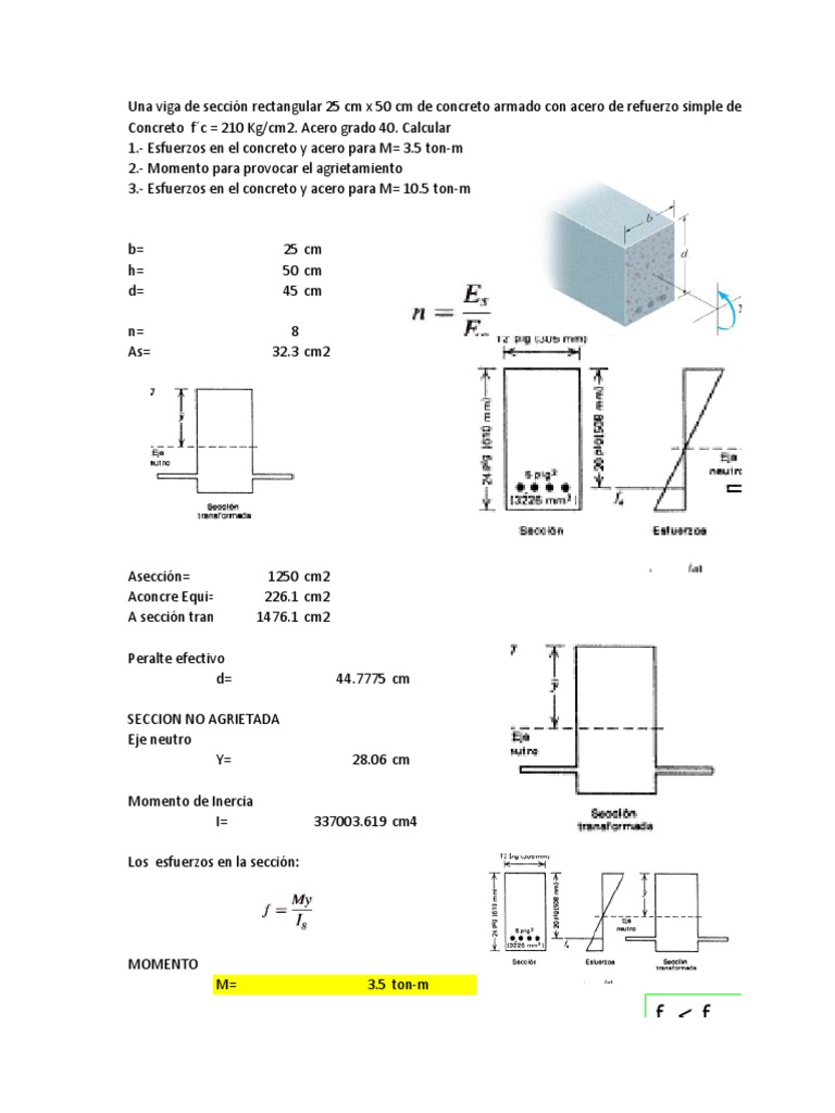 Ejercicio FLEXION ELASTICA | PDF