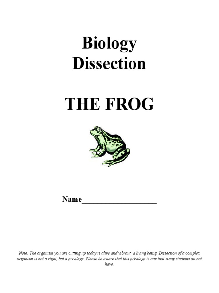 Lab 1 - Frog Dissection | PDF | Human Leg | Heart