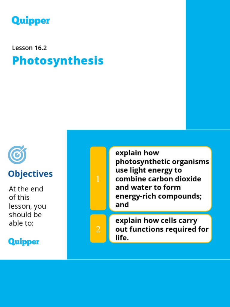 Photosynthesis: Processes and Importance | PDF | Photosynthesis ...