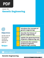 Genetic Engineering Processes Explained | PDF | Genetic Engineering ...