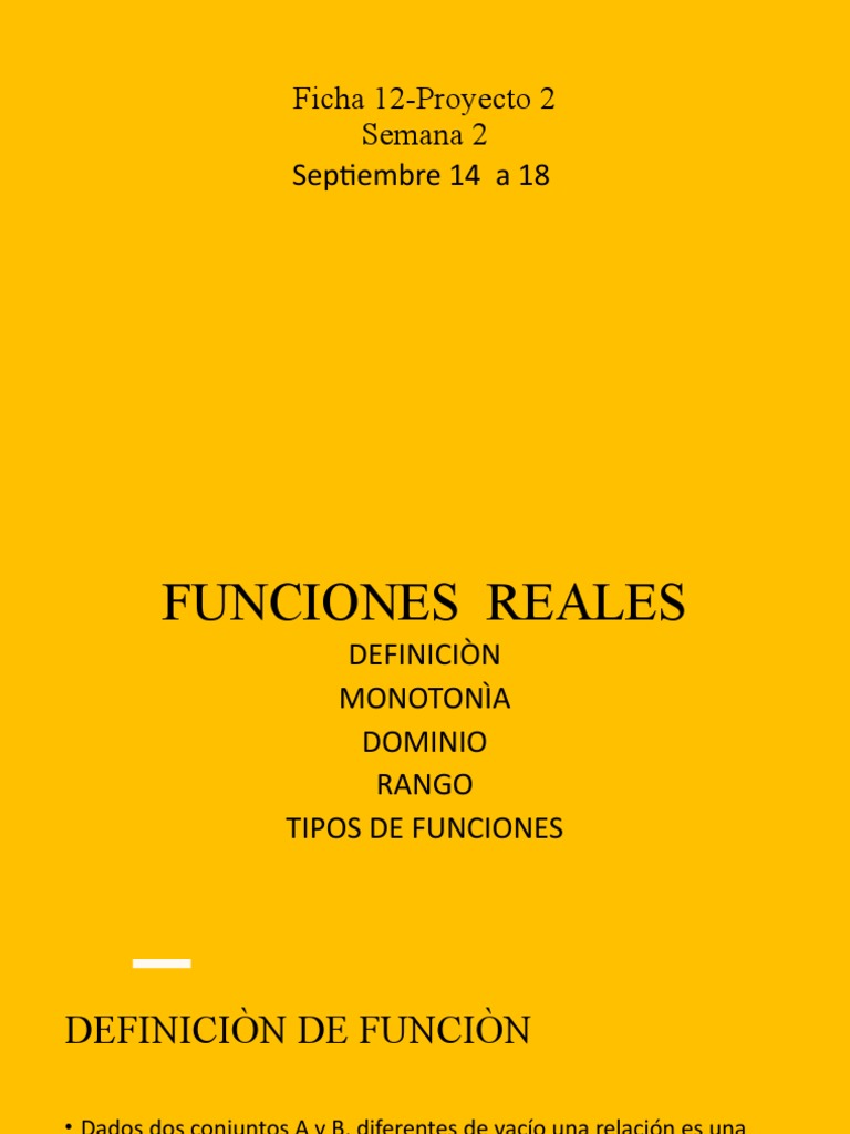 Funciones Reales 1 | PDF | Función (Matemáticas) | Asíntota