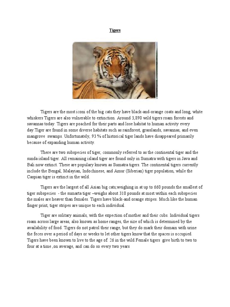 Tigers | PDF