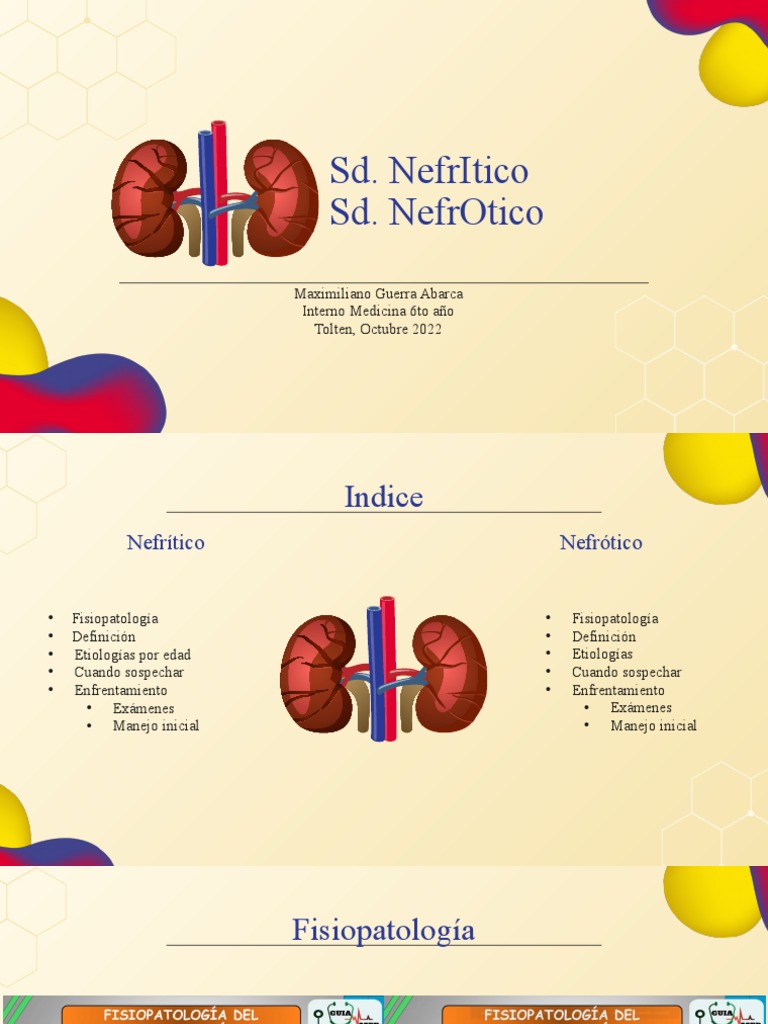 Sindrome Nefritico-Nefrotico | PDF | Especialidades Medicas | Medicina ...