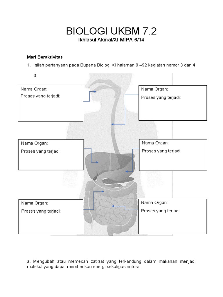 Biologi Ukbm 7.2 | PDF | Kesehatan Holistik