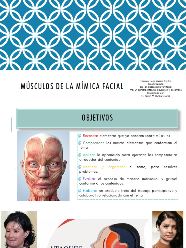Músculos de La Mímica Facial | PDF | Anatomía humana | Tejido suave