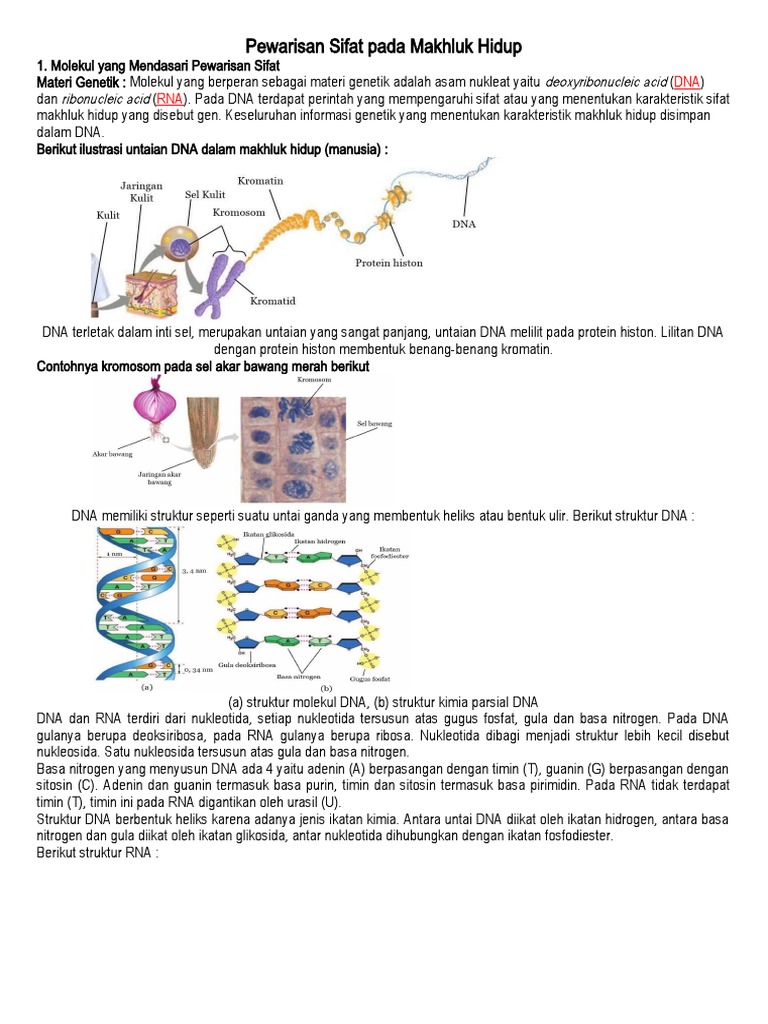 Materi MIPA 2 | PDF | Seni & Disiplin Bahasa | Sains & Matematika