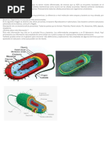Microbiología Básica 2022 | PDF | Las bacterias | Esterilización (Microbiología)