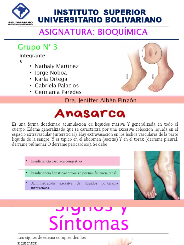 Trabajo ANASARCA | PDF