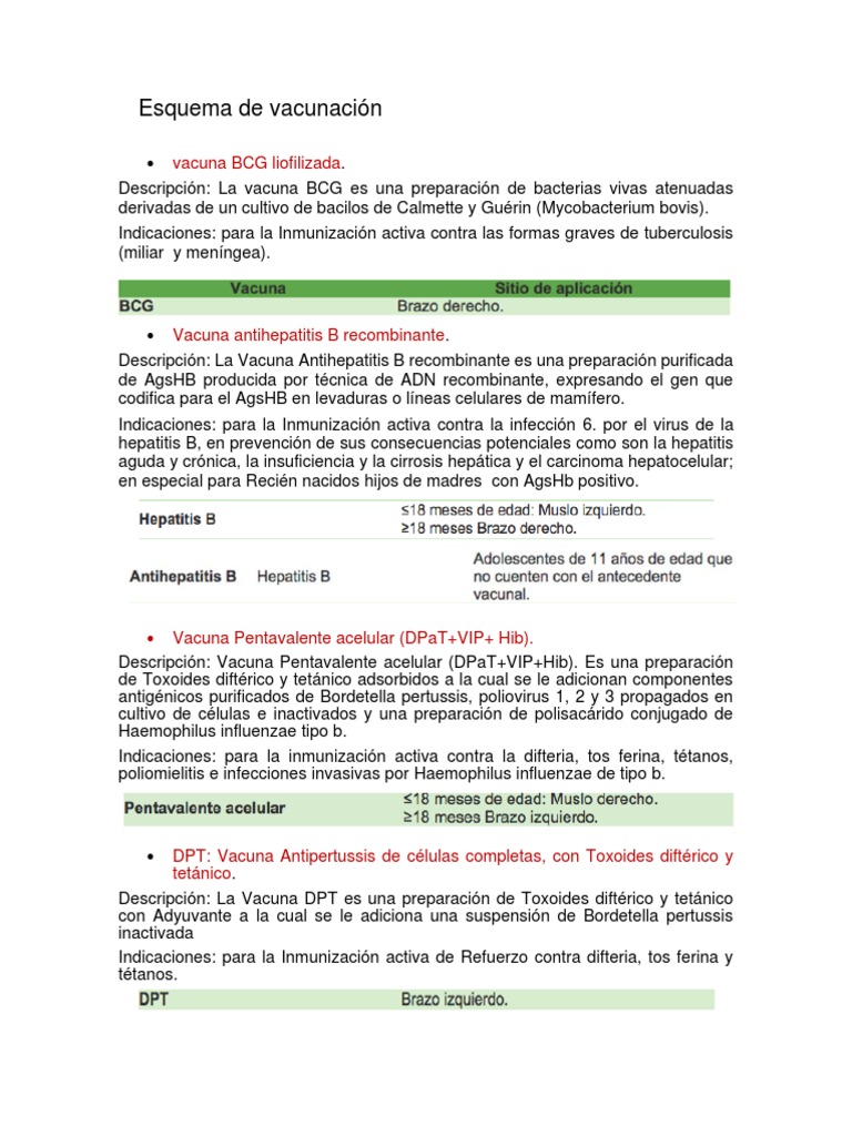 Esquema de vacunación | PDF | Vacunas | Virus