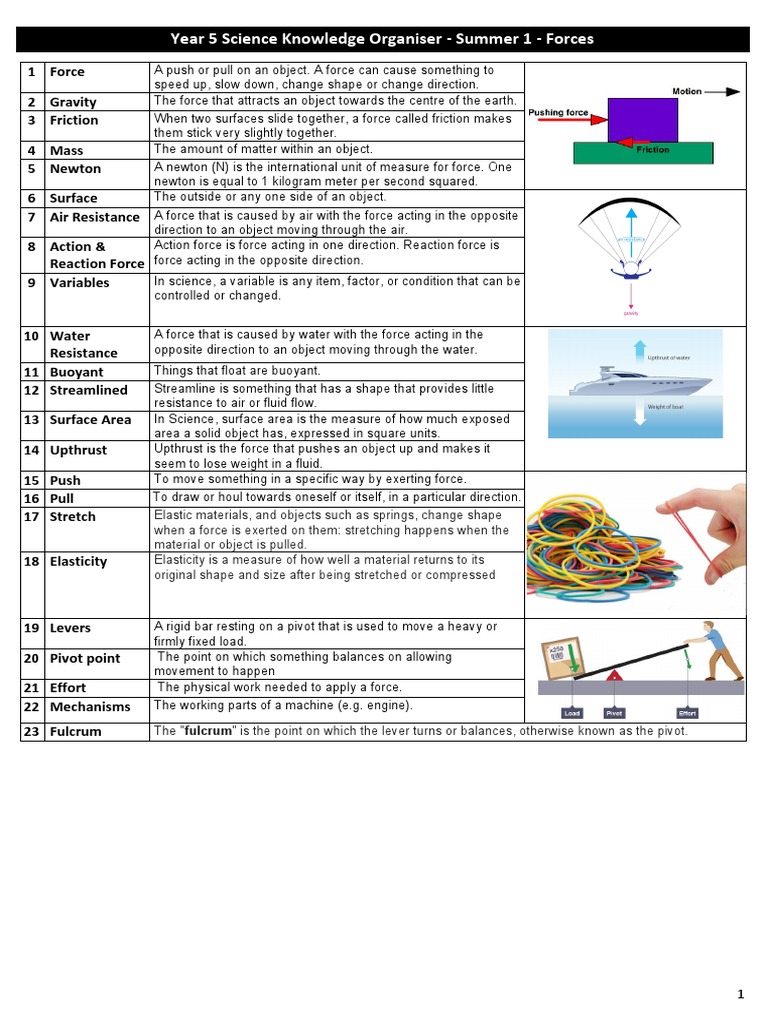 Year-5-Forces Vocabulary | PDF | Force | Lever