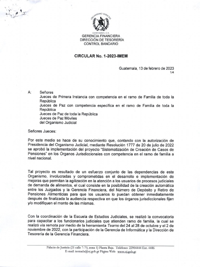 Circular 1-2023-Imem | PDF