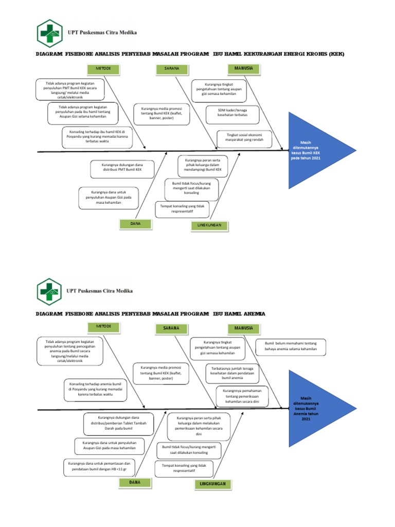 Fishbone 4 Program Gizi | PDF