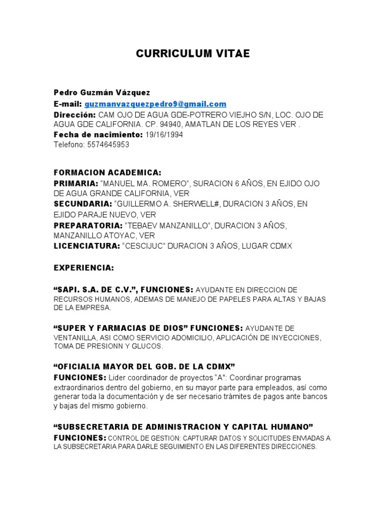 Curriculum Vitae Pedro | PDF