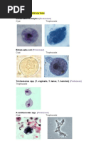 BOC 7th Edition | PDF