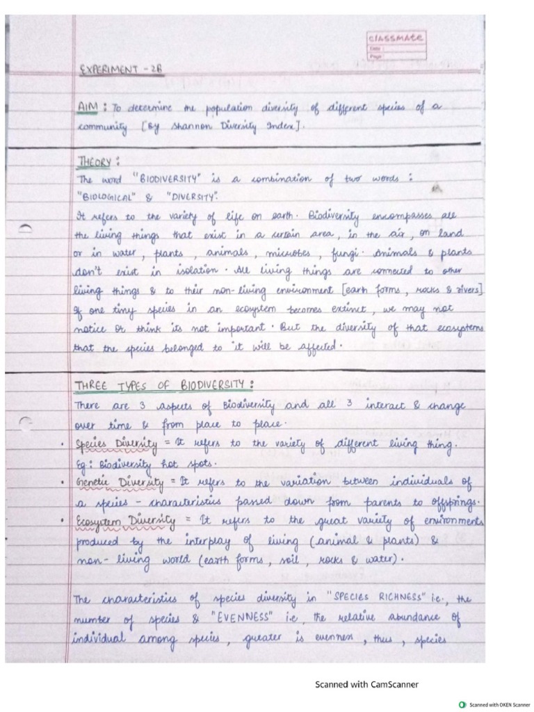 Ecology Practical File | PDF