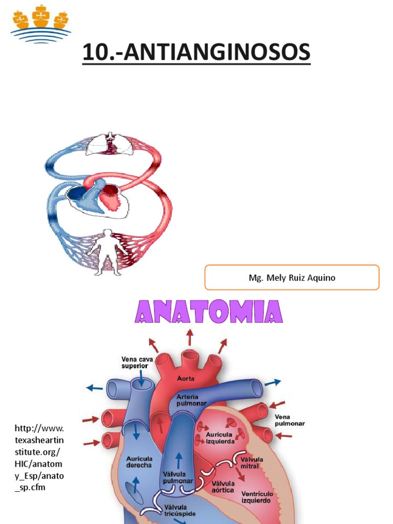 Guía de Fármacos Antianginosos | PDF | Fisiología | Angiología