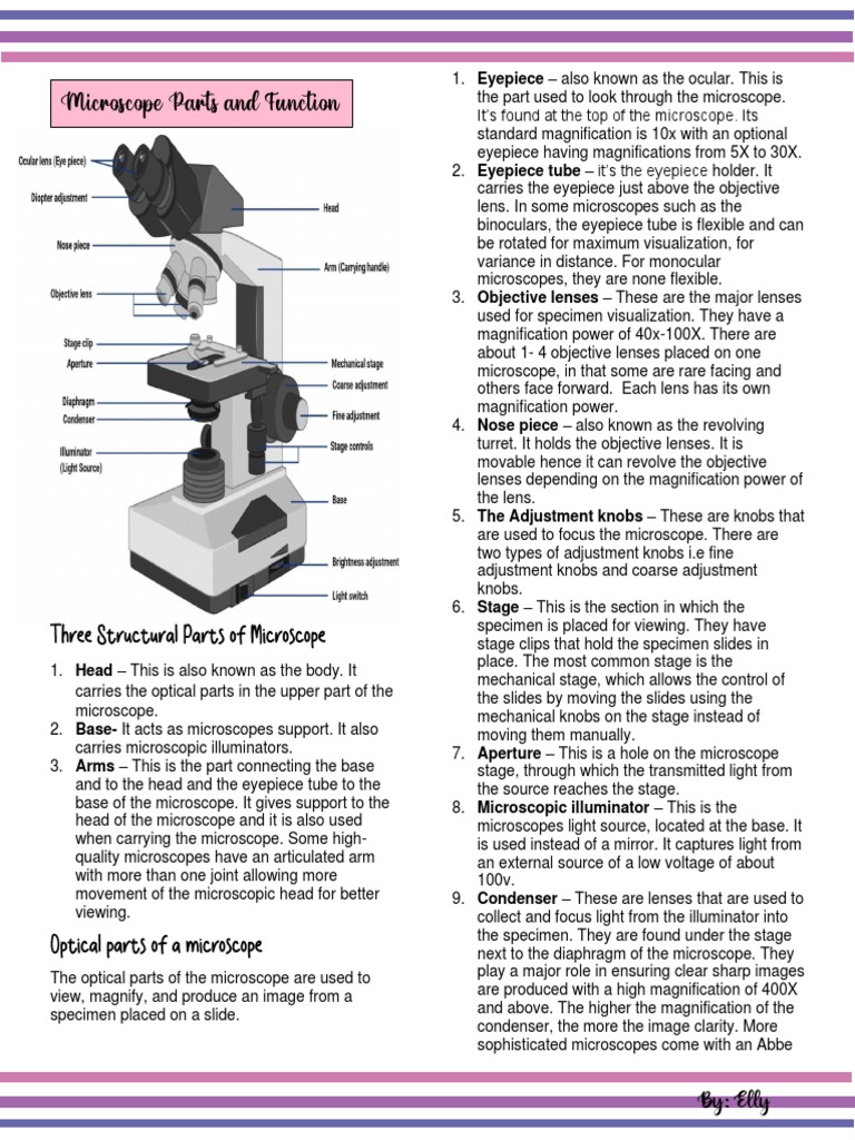 Urinalysis | PDF | Urine | Glucose