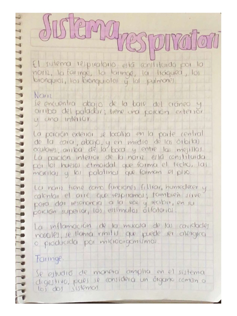 Resumen Sistema Respiratorio - Compressed | PDF