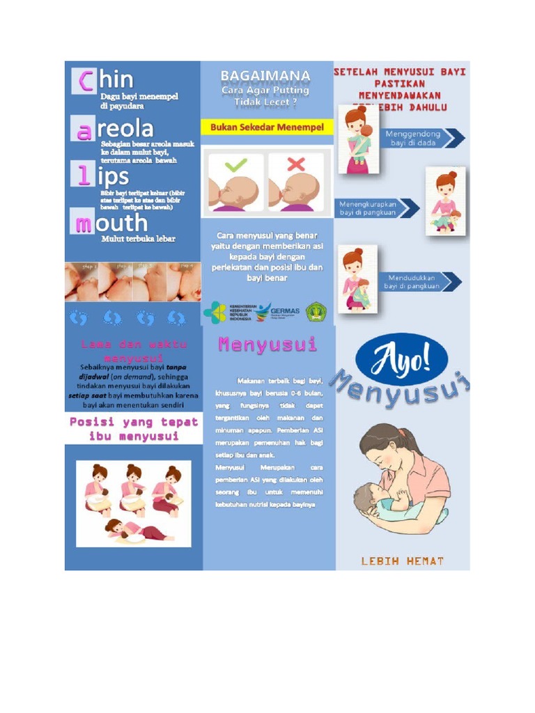 Cara Menyusui | PDF