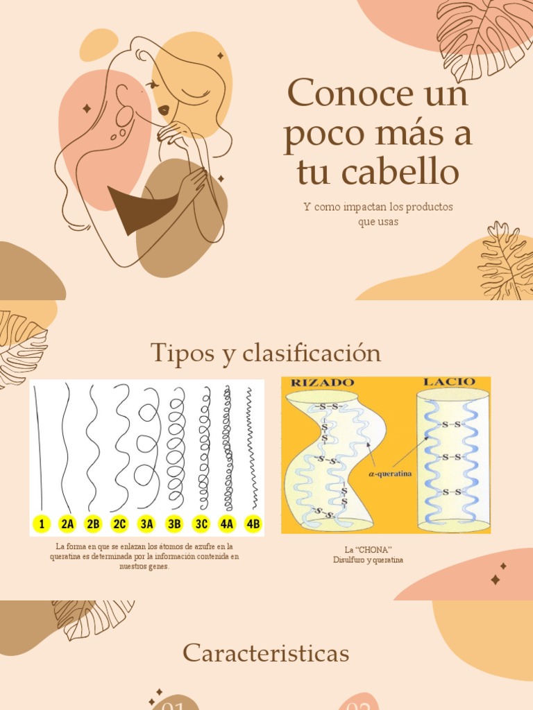 Tipos de Cabello | PDF | Pelo | Química