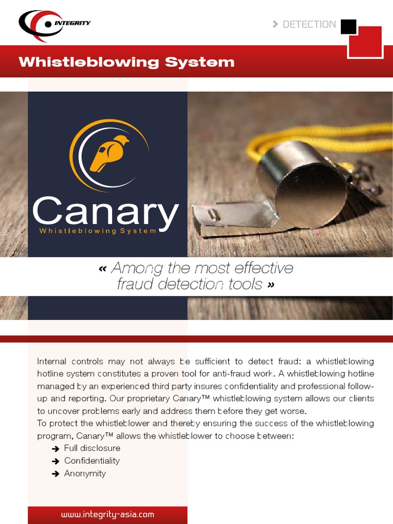 Whistleblowing System | Download Free PDF | Whistleblower | Cyberspace