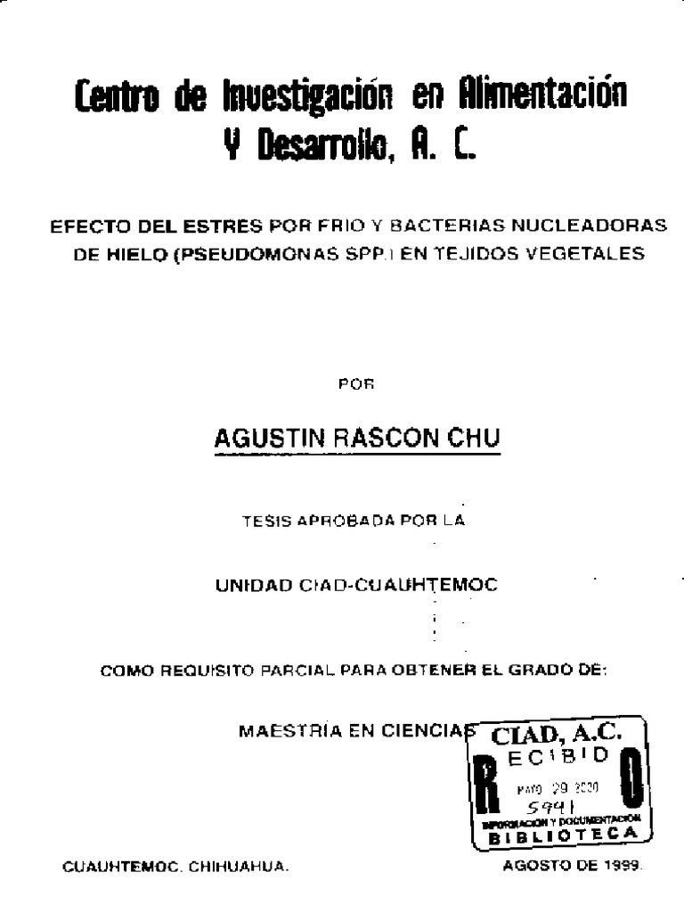 Rascon Chu A99 | PDF
