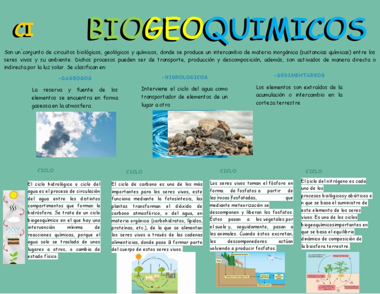 Infografia Ciclos Biogeoquimicos | PDF | Suelo | Agua