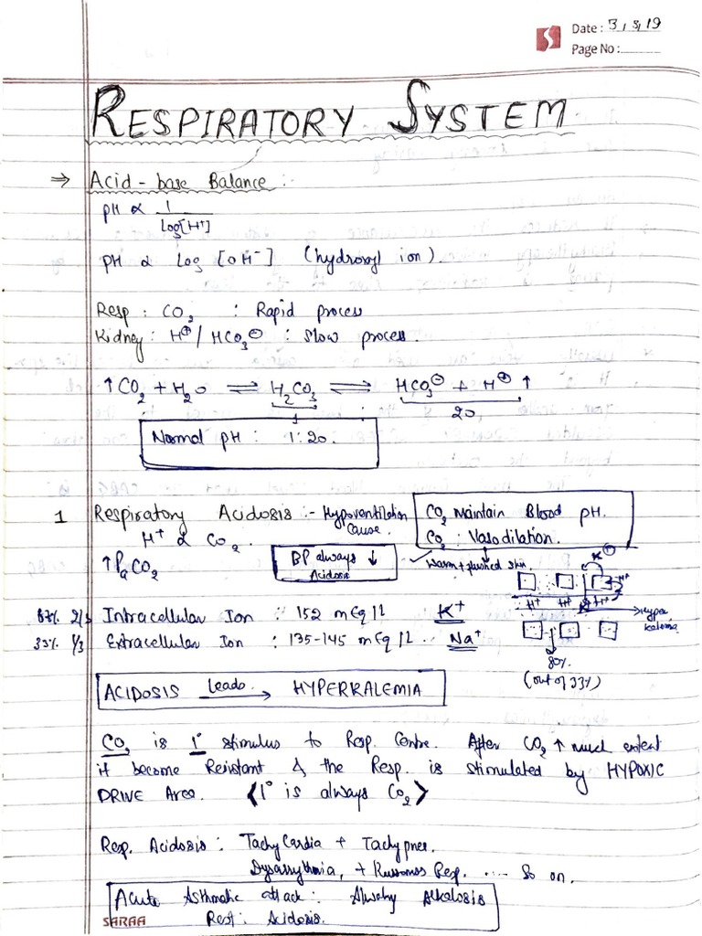 Respiratory System Rais Scan 29-Jul-2019 | PDF