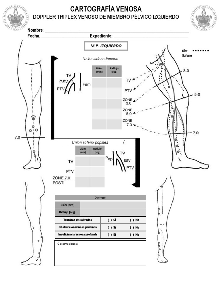 Cartografia Venosa DIEGO NUNEZ | PDF | Sistema cardiovascular | Angiología